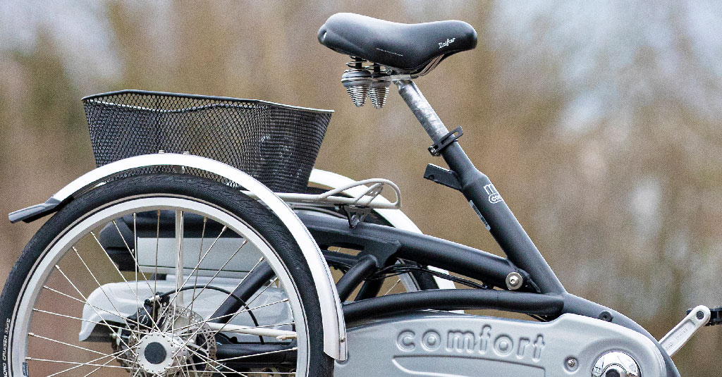 Van Raam Maxi Comfort Elektro-Dreirad