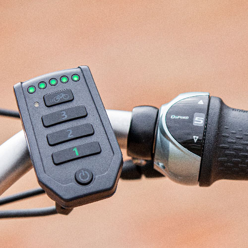 Van Raam Maxi Comfort Elektro-Dreirad