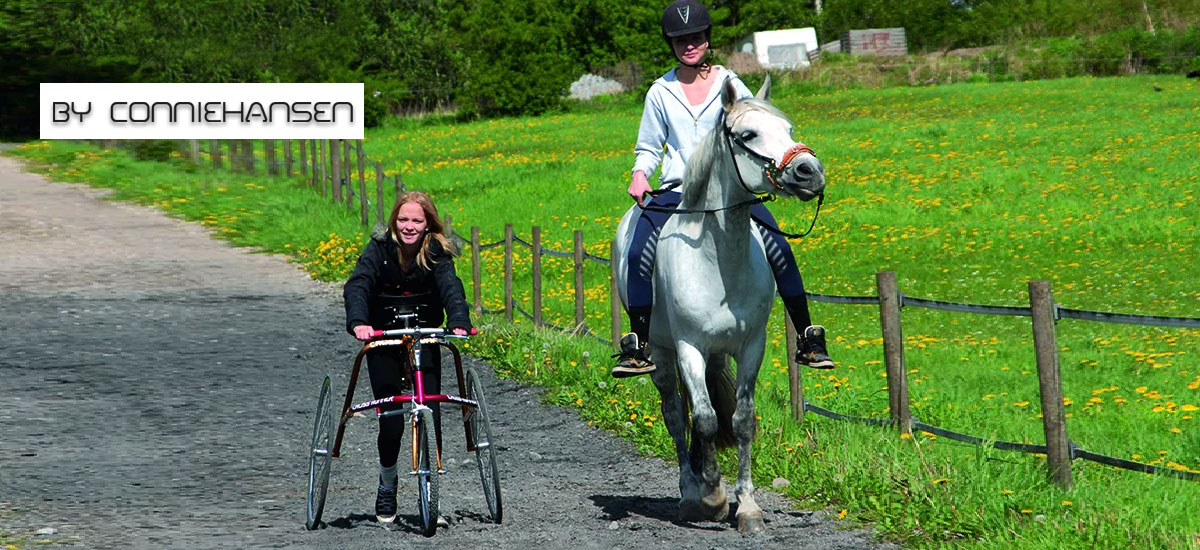Connie Hansen: Crossrunner Sport-Laufrad für Behinderte